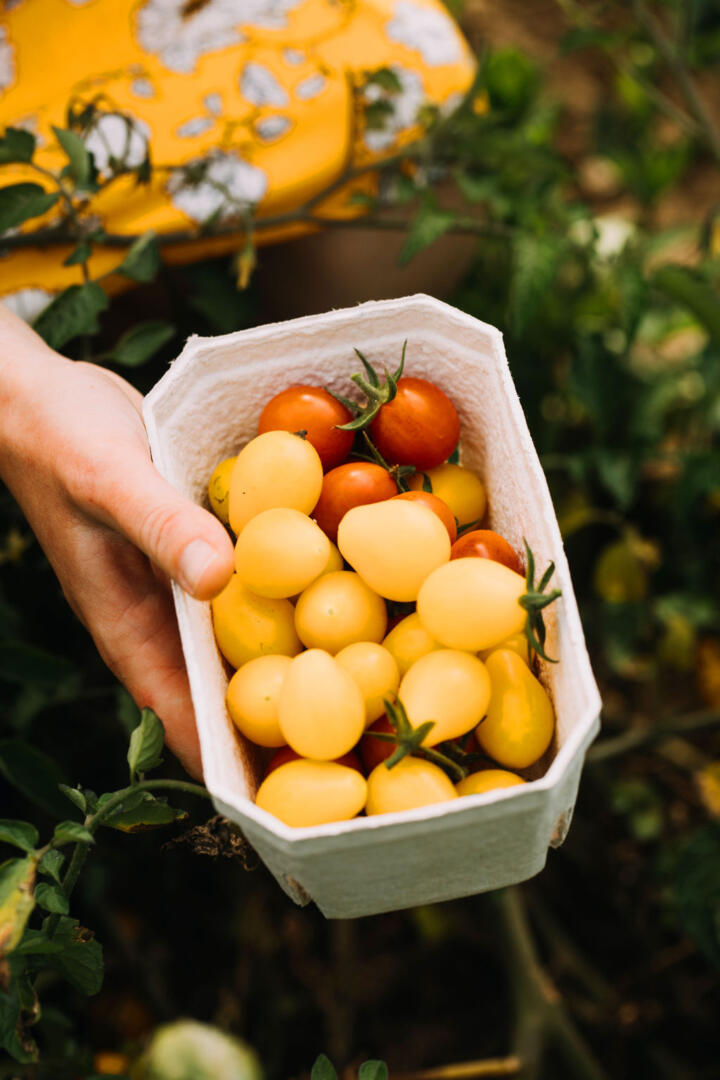 Garten – Walhalla Genusskulisse